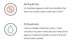 Diamond K Gypsum | Improve Your Water, Improve Your Yields